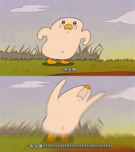 너 그런거 보니에 있는 웰시고기님의 핀 웃긴 바탕화면 웃긴 밈 재미있는 