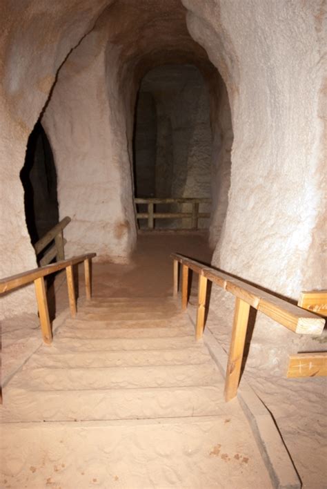 Sämmipildid Piusa Koopad