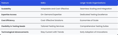 What Is Test Automation As A Service Deviqa