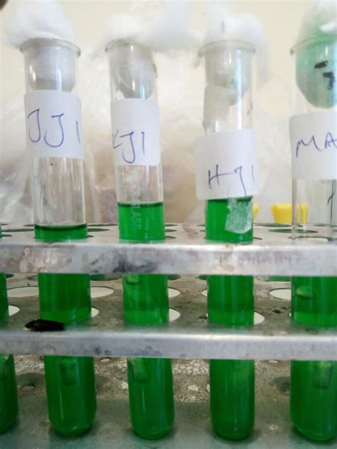 Biochemical Tests Presumptive Identification And Confirmation Of