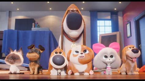 Collection Animation Dogs Cat Character Character Concept Secret