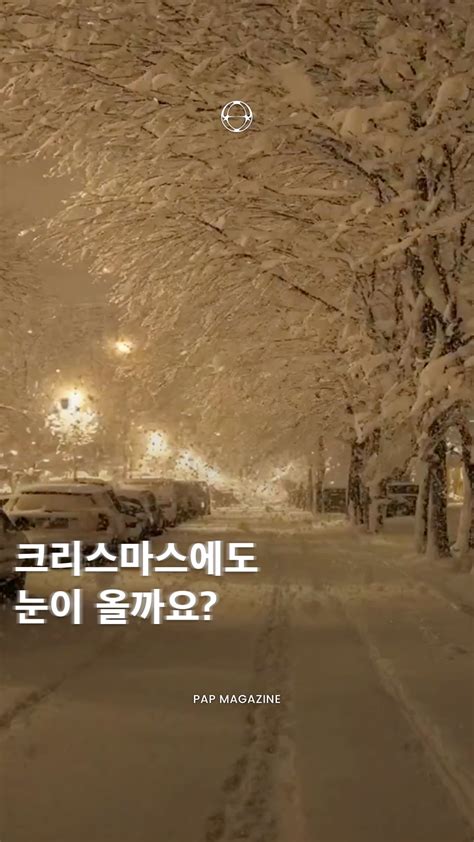 Pap Korea 팝 매거진 코리아 그녀들의 가방엔 무언가 특별한 것이 있다 💗 면장갑 주사기 엄청나게 많은 약들과 펜치와 같은 각종 공구들··· 단어만 들으면