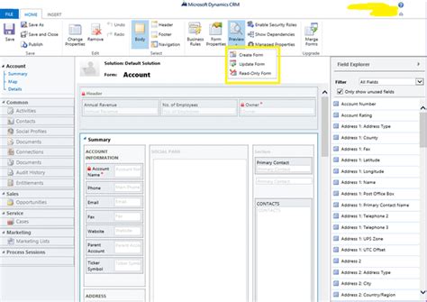 Customization Preview Enhancement In Dynamics Crm 2016 Microsoft Dynamics 365 Crm Tips And Tricks