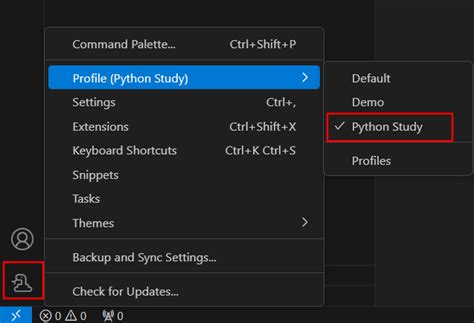 一键配置你的python开发神器 Vscode Profiles完全指南 Csdn博客