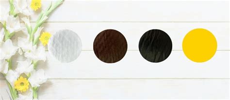 맞춤형 캔디 패드 궁극의 가이드 캔디 패드 초콜릿 상자 종이 쿠션 패드 공급 업체 및 제조업체