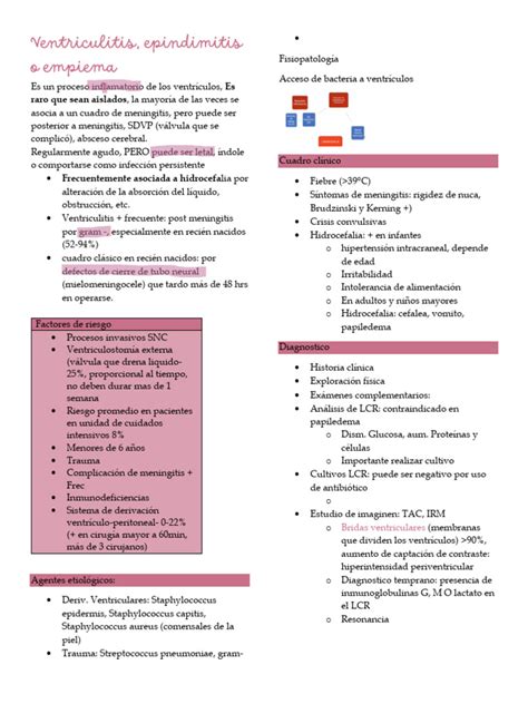 Ventriculitis Pdf Meningitis Causas De La Muerte
