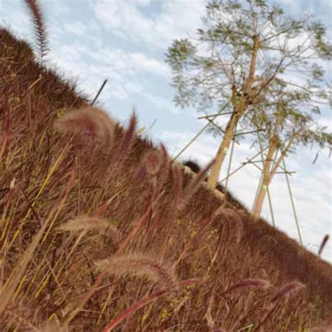 Jun Ouyang Xiamen University Xiamen Xmu School Of Management Research Profile