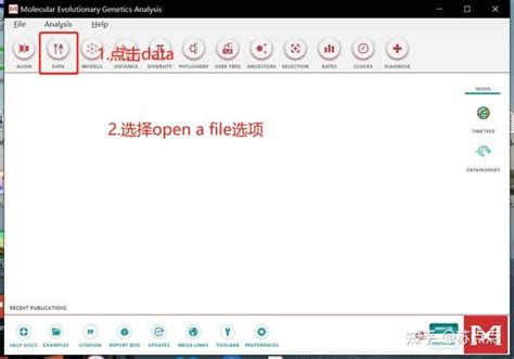 如何使用mega软件进行序列比对、计算遗传距离以及构建系统发育树？（收藏版） 知乎