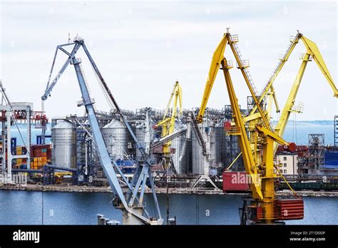 Port Cranes On A Pier Of Seaport Industrial Freight Container Terminal Sea Trade Port