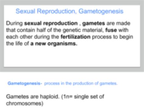 SOLUTION Module 2 Lesson 5 Sexual Reproduction Studypool