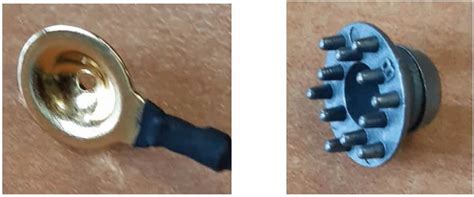 Dry Electrodes For Eeg Measurement At William Wooden Blog