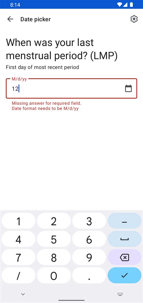 In Date View If Typed Input Is Invalid Then Appropriate Error Message Should Be Displayed