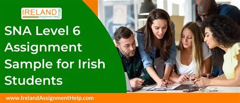 Sna Level 6 Assignment Examples Ireland Real Samples