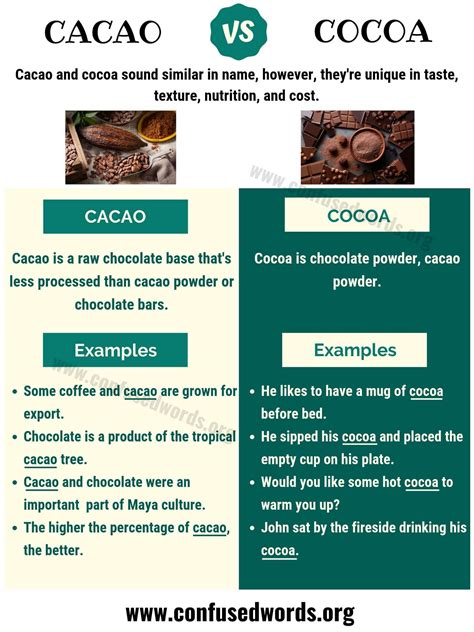 cacao vs cocoa basic difference between cocoa vs cacao confused words