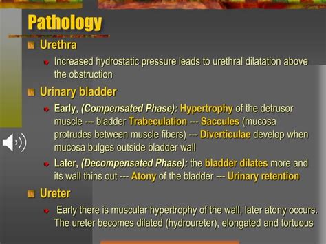 Obstructive Uropathy Online Pptx Digestive Disorders Diseases And Conditions