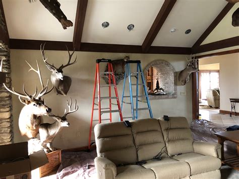 Trophy Room Lighting Upgrade Anthracite Electric