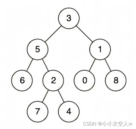 Leetcode 二叉树的最近公共祖先 Ew帮帮网