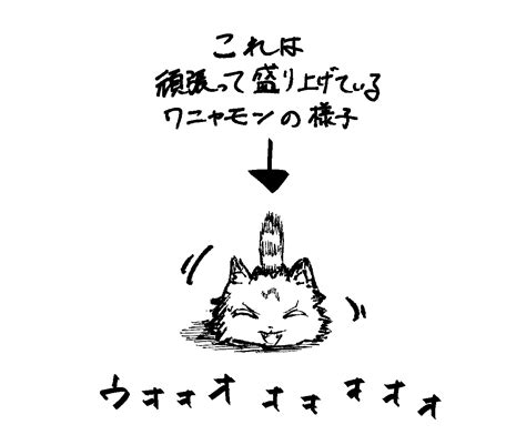 Wanyamon Digimon Digimon Paradox Translation Request Animal Ears