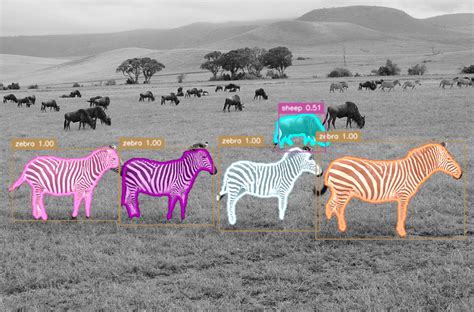 Object Masks With Yolov Issue Smorodov Multitarget Tracker Github