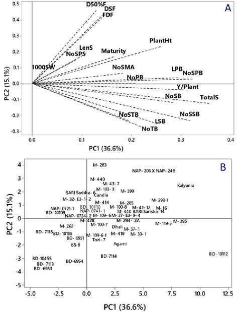 Loading Plot A And Biplot B From Principal Component Analysis