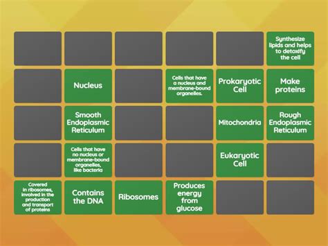 Cells Matching Pairs