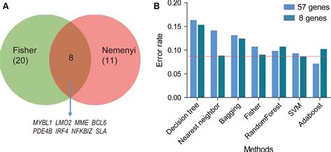 machine learning‐based classification of diffuse large b‐cell lymphoma patients by eight gene