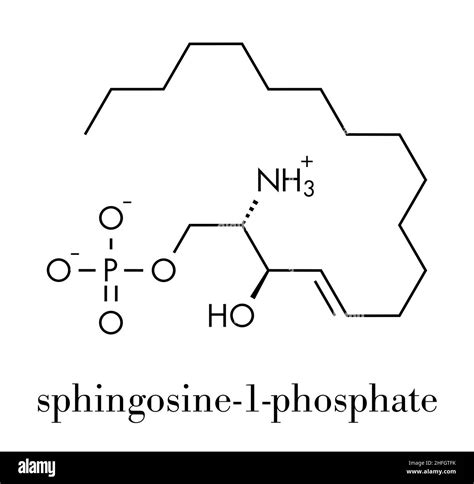 Sphingosine 1 Phosphate S1p Signaling Molecule Skeletal Formula