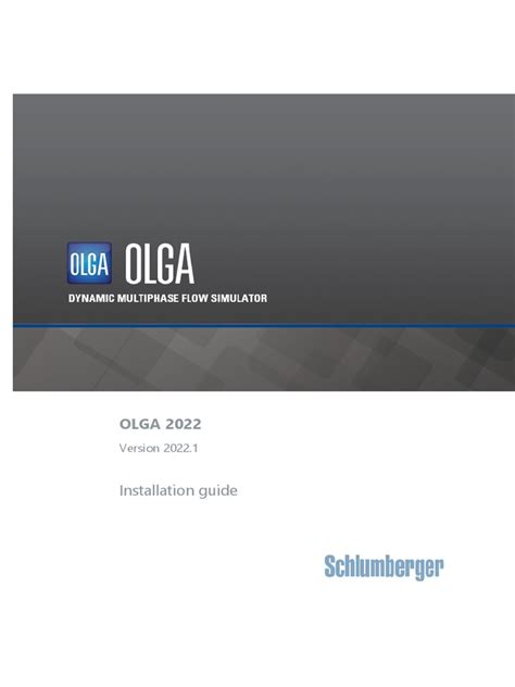 Olga Installation Guide Pdf Microsoft Windows Installation Computer Programs