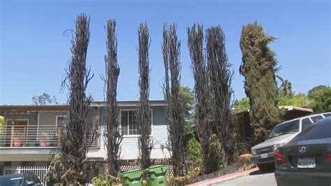 Serial Arsonist On The Loose In 2 Los Angeles Neighborhoods
