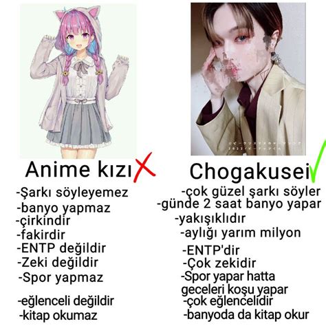 Chogakusei Kitap Çirkin Gece