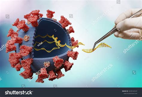 10 802 Imágenes De Virus Arn Imágenes Fotos Y Vectores De Stock Shutterstock