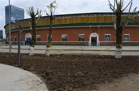 Төв цэнгэлдэх хүрээлэнгийн гадна дотор талбайг засварлаж байна