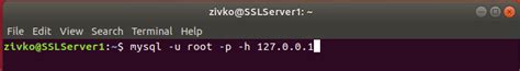 How To Connect To A Remote MySQL Server Using SSL On Ubuntu