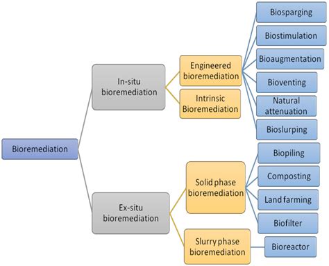 toxics free full text recent strategies for bioremediation of