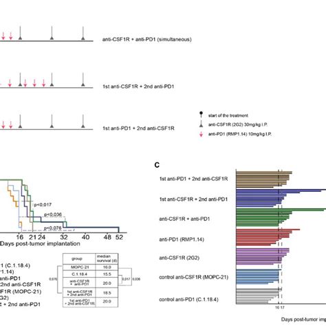 Simultaneous And Sequential Combinations Of Pd1 And Csf1r Blockade In Download Scientific