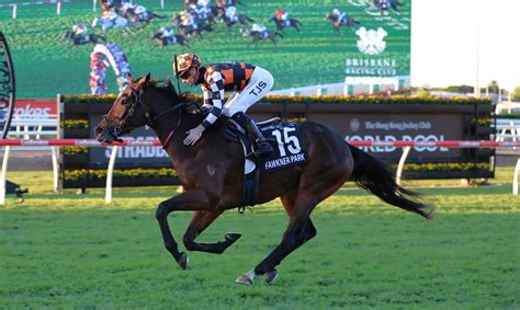 Fawkner Park Prepares For Caulfield Cup With Caulfield Gallop