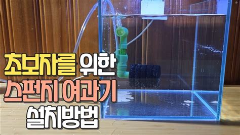 간단한 스펀지여과기 설치 및 관리 방법 Youtube