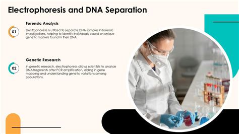 Electrophoresis And Dna Separation Ppt Example Acp Ppt Slide