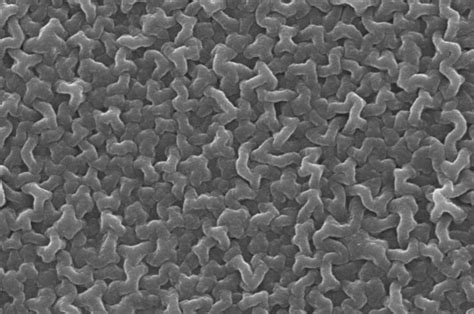 Electrochemical Polymerization Of Imidazolum‐ionic Liquids Bearing A