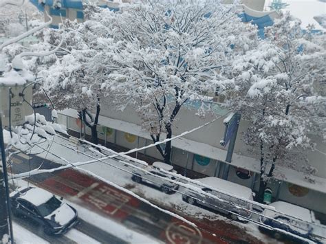 사람과 사람 사이의 삶 아무것도 모르고 살아가는 사람들의 겉과속 아무것도 모르는 사람들 사이에서 아듯한 기운이 스멀 스멀 들 현천 부동산 연구소 Band