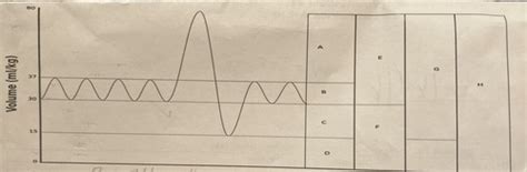 Lung Capacity Diagram Flashcards Quizlet