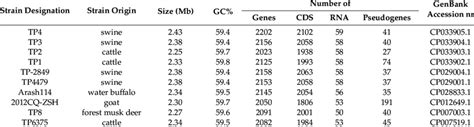 General Features Of The Complete T Pyogenes Genomes Available In The