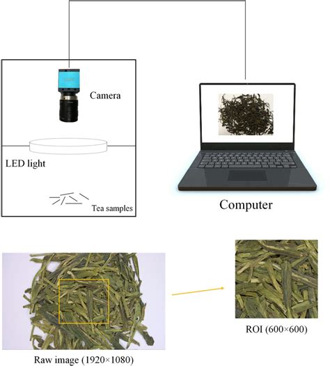 Schematic Diagram Of The Computer Vision System And Region Of Interest Download Scientific