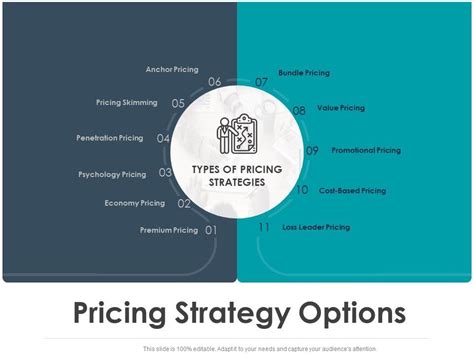 Strategic Plan For Companys Development Pricing Strategy Options Ppt