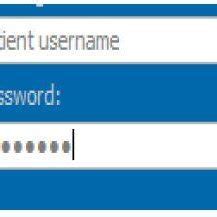 Log In Interface Ii After Logging In The Patient Initially Interacts Download Scientific