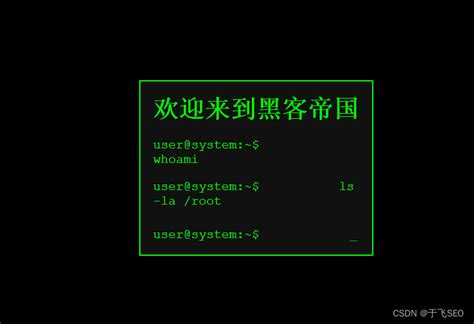 模仿电影中黑客电脑界面，html装逼代码 黑客界面代码 csdn博客