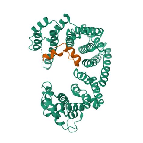 Rcsb Pdb 6rrk Crystal Structure Of The Central Region Of Human Cohesin Subunit Stag1 In
