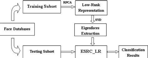 Figure 2 From Low Rank And Eigenface Based Sparse Representation For Face Recognition Semantic