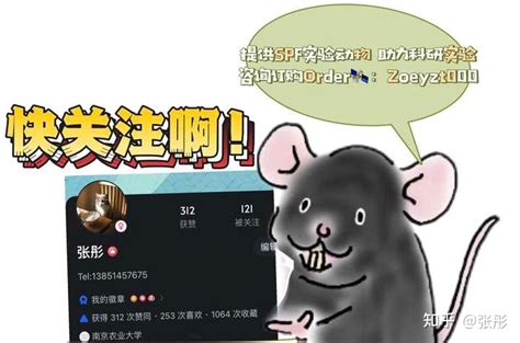 𝗱𝗯𝗱𝗯和𝗼𝗯𝗼𝗯两种糖尿病模型小鼠区别及如何选择 知乎