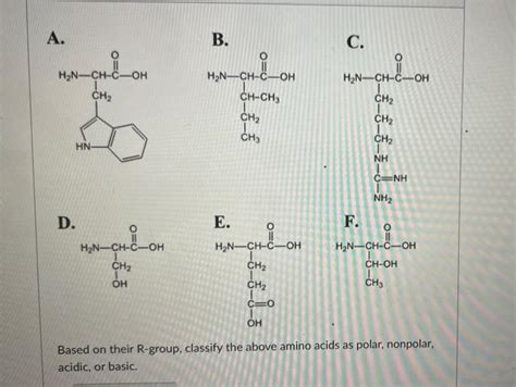 Solved Based On Their R Group Classify The Above Amino